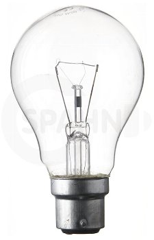 Light Bulb 24V 40W B22d 60x105 Clear / Multi-Lite Lamps